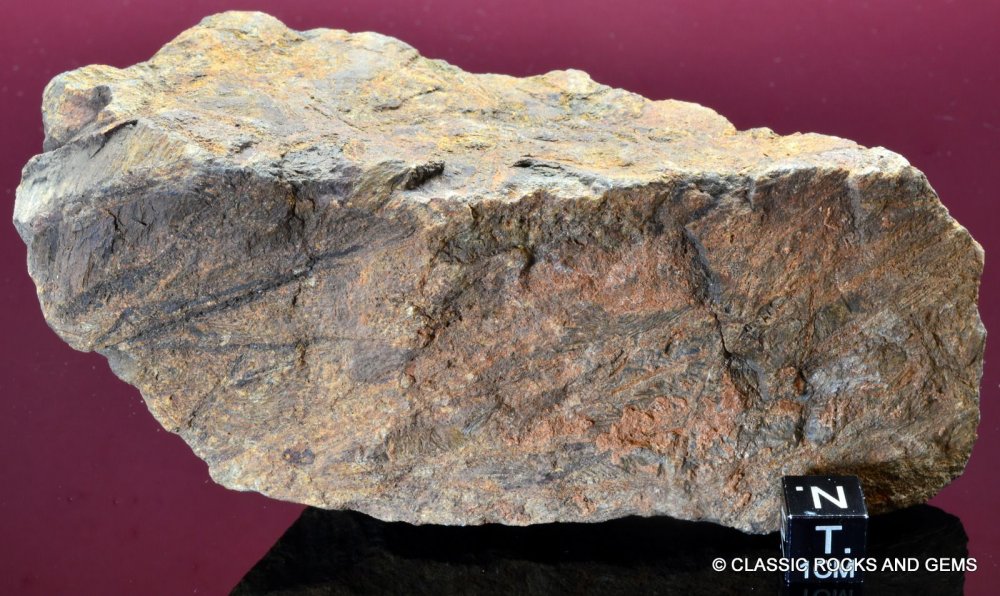 Komatiite Rough Ultramafic Volcanic Rock Acicular Spinifex Komatiit Roh ...