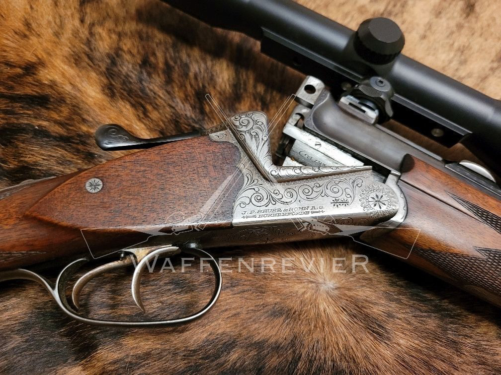 SAUER & SOHN Mod. 54 Luxus (Bockbüchsflinte) in 7x57R & 16/70 - eGun