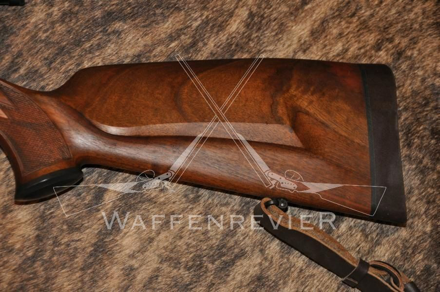 BLASER SR 850 in 9,3x64 mit Zeiss 8x56 - eGun